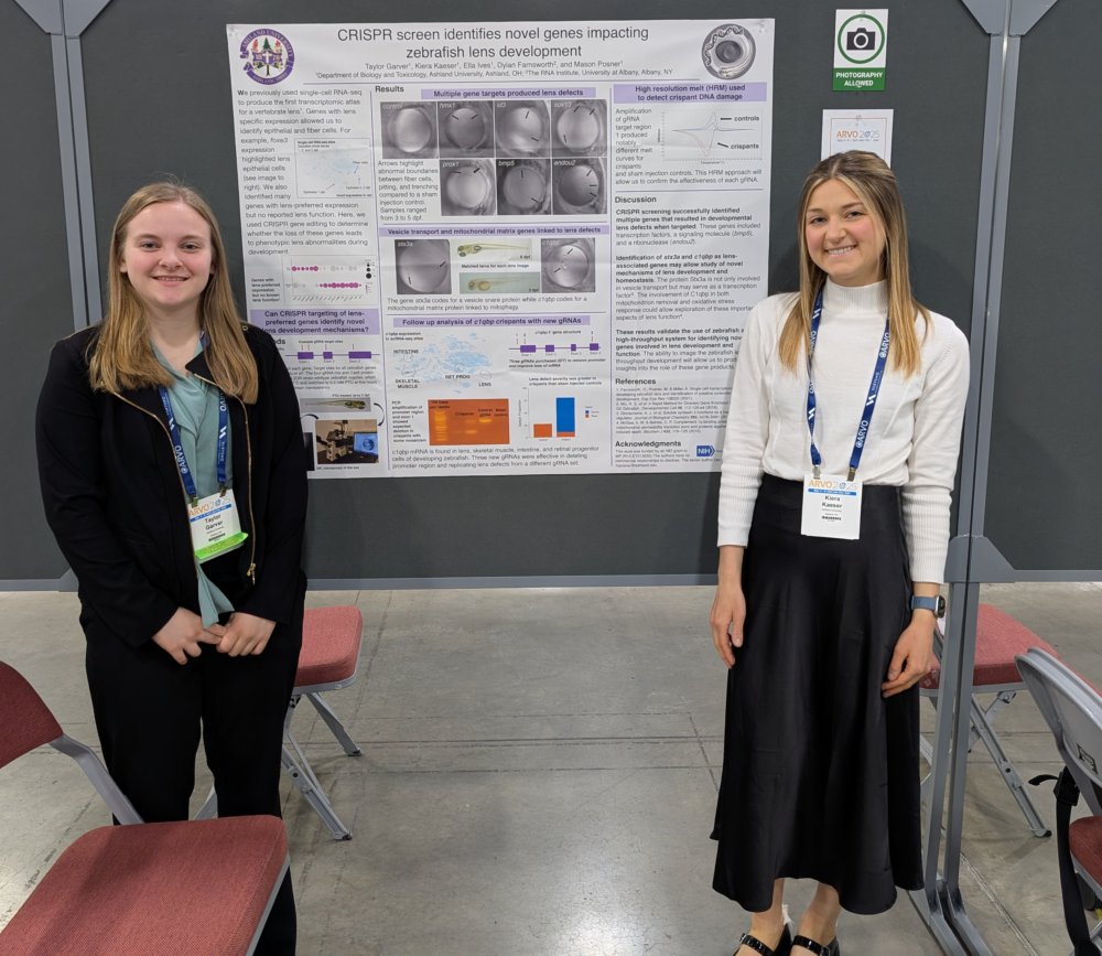Research – Mason Posner